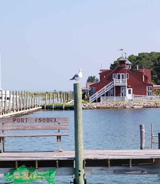 dreamy virginia island escape ftr