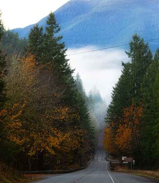 drive proves washington beautiful ftr