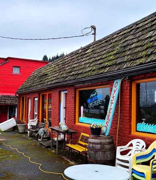 drive washington oysters restaurant ftr