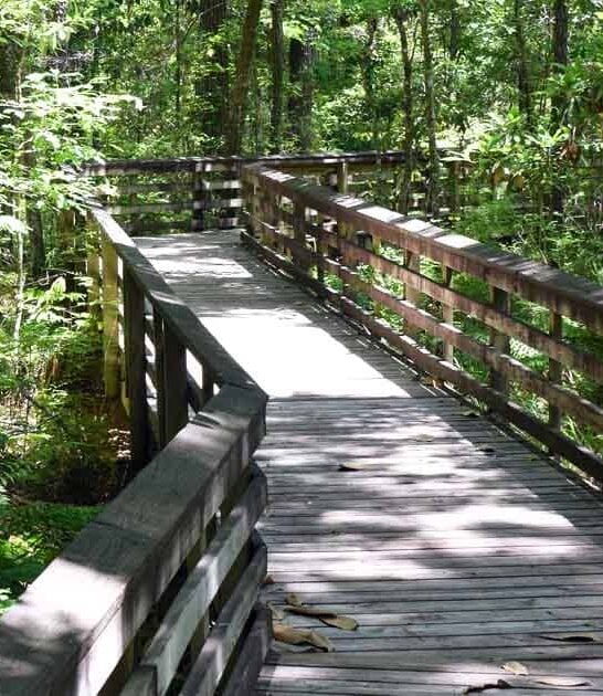 enchanting alabama spots discovered ftr