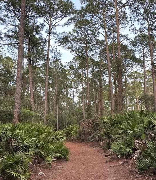 enchanting florida trail attention ftr