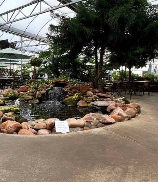 You&rsquo;ll Forget You&rsquo;re In Texas At This Impossibly Enchanting Garden Restaurant