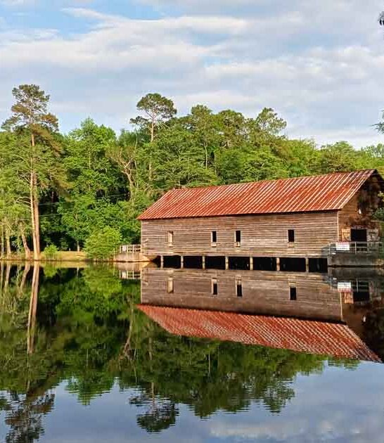 enchanting georgia state park ftr
