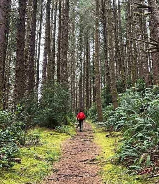 enchanting hike oregon forest ftr