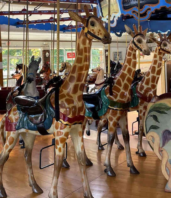 enchanting indiana carousel oldest ftr