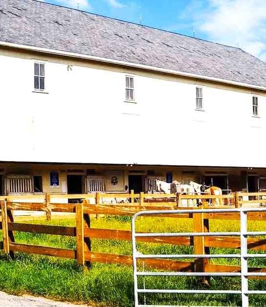 This Enchanting Pennsylvania Airbnb Where You Can Pet Horses Is Like Something Out Of A Storybook