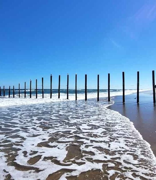 enchanting virginia state park ftr