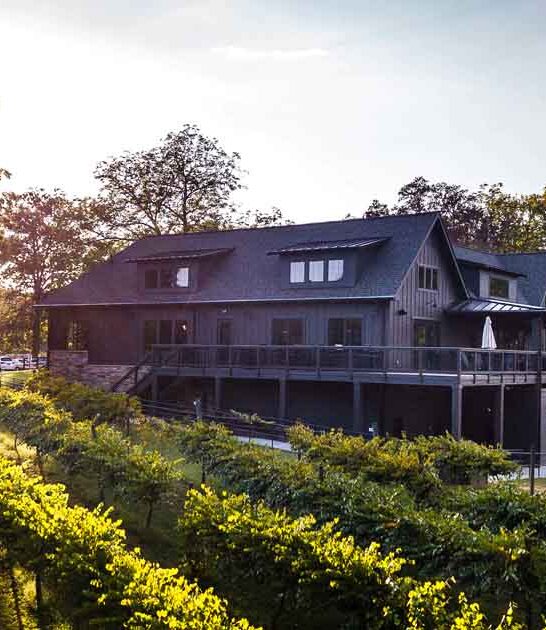 enjoy south carolina winery ftr