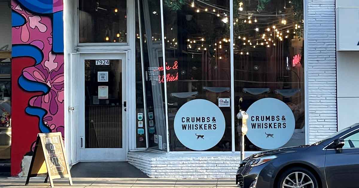 Everything About This Cat-Themed Restaurant In California Will Make ...