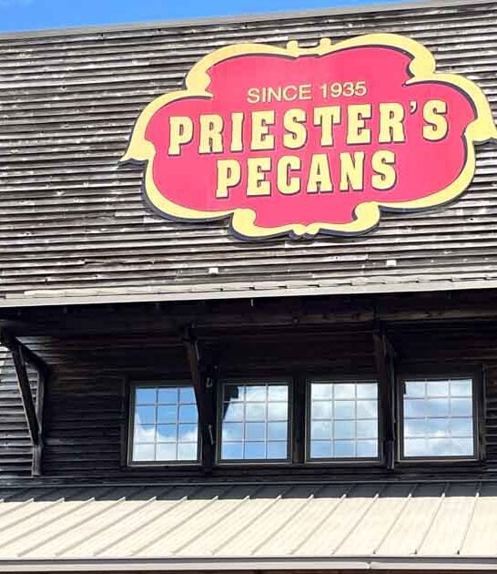 exploring giant pecan alabama ftr