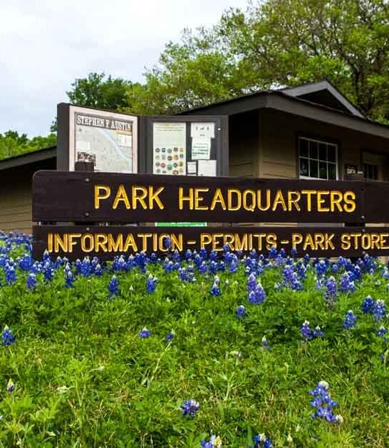 extraordinary state park texas ftr