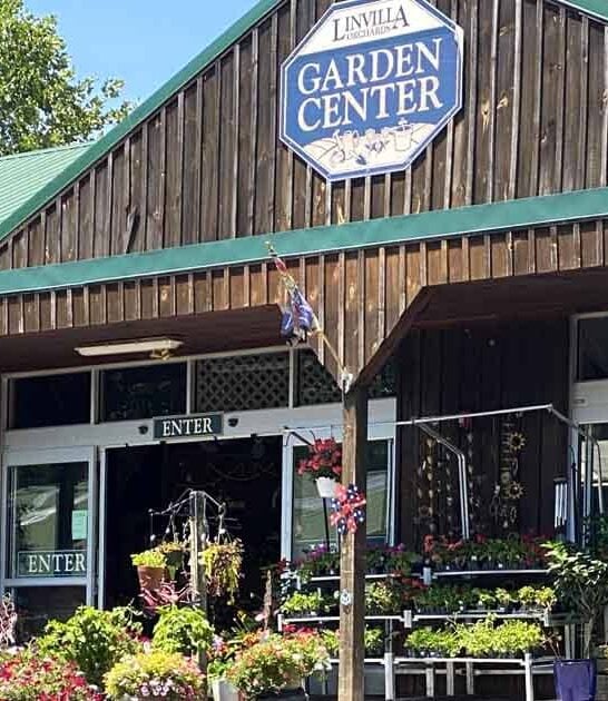 family farm donuts pennsylvania ftr