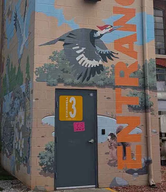 fantasy cafe alabama enchanting ftr