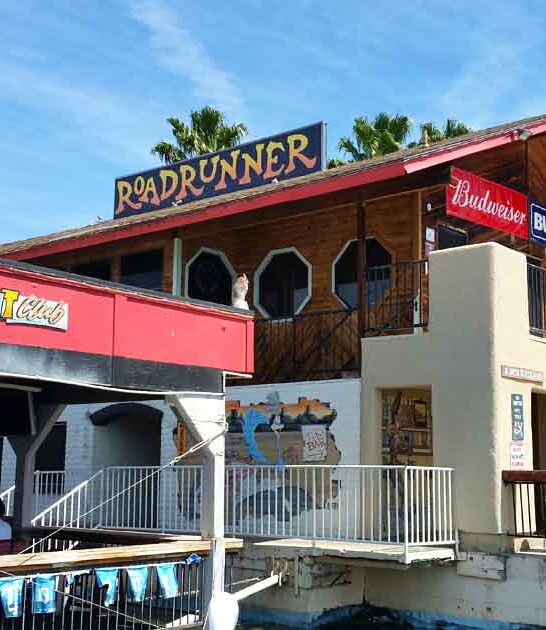 floating dock bar arizona ftr