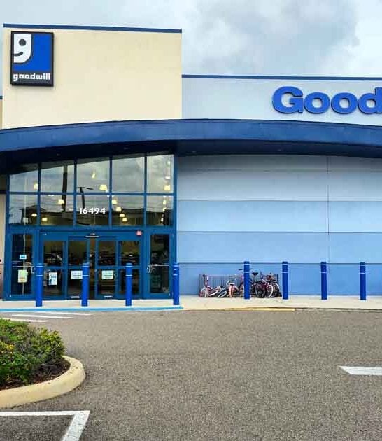 florida amazing thrift finds ftr