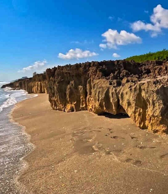 florida astonishing natural wonders ftr