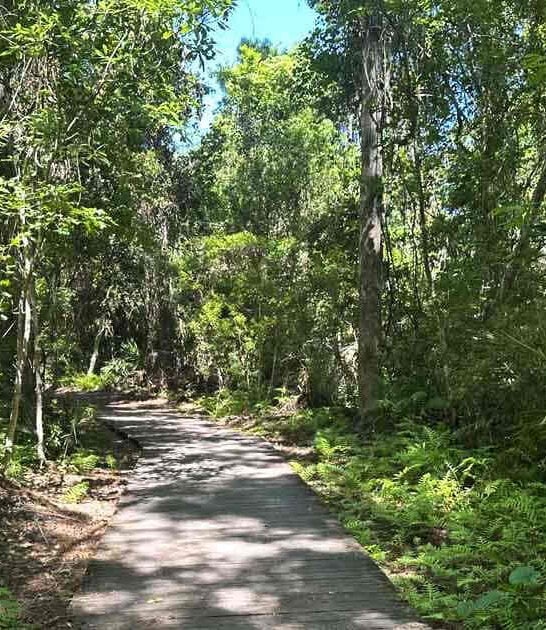 florida best walking trails ftr