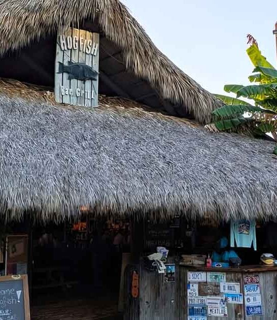 florida great seafood spots ftr