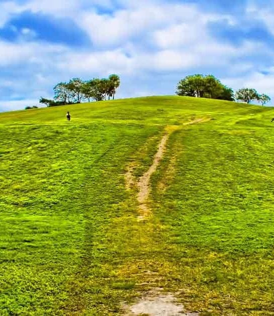 florida highest point trail ftr