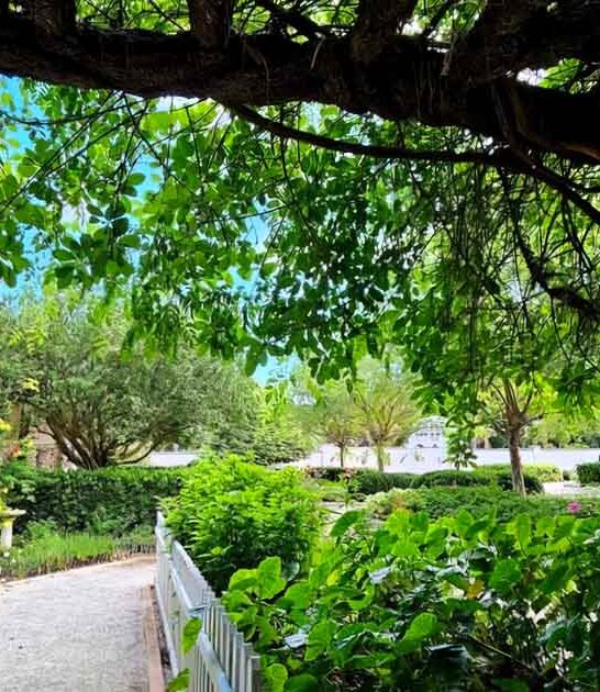 florida magical botanical garden ftr