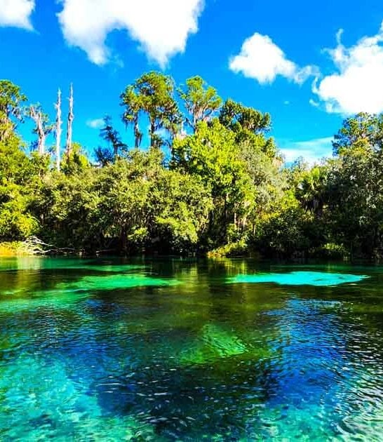 florida remarkable places ftr