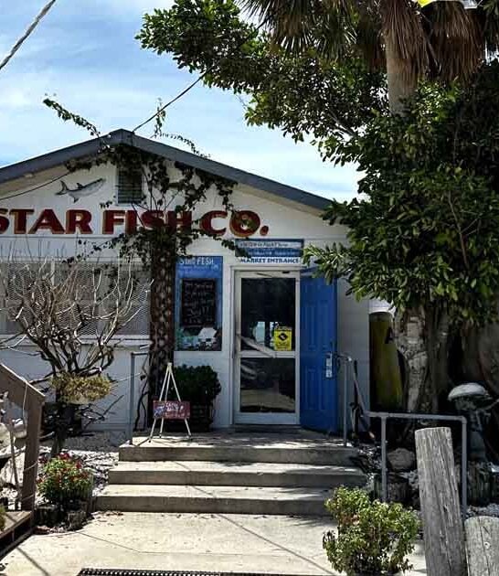 florida seafood joints excellent ftr