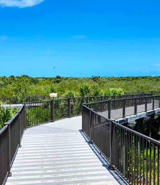 florida secret wildlife refuge ftr
