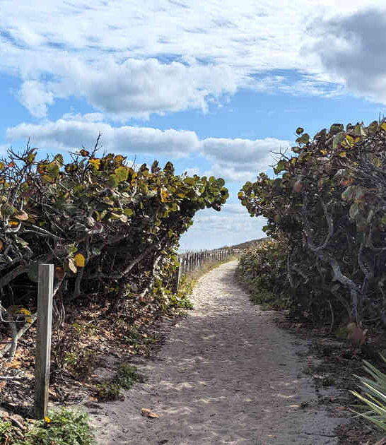 florida stunning natural wonders ftr