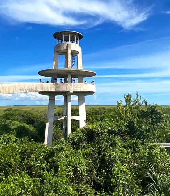 florida summit hiking trail ftr