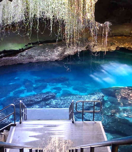 florida surprising natural wonders ftr