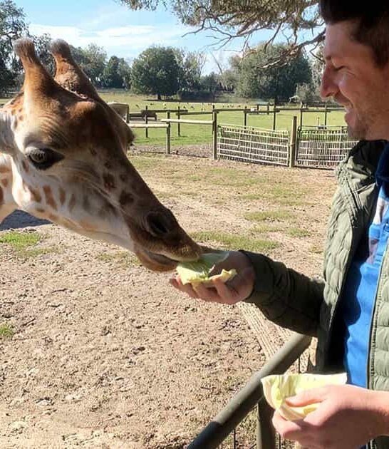 florida unbelievable encounter giraffes ftr