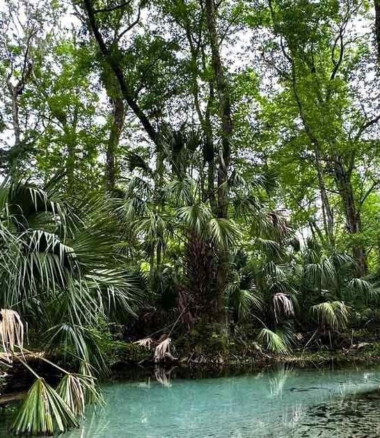 florida unforgettable spots ftr