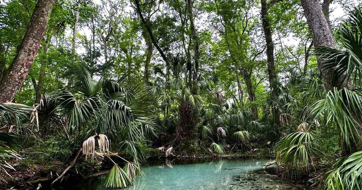 8 Unforgettable Florida Spots You Can Reach On A Single Tank Of Gas
