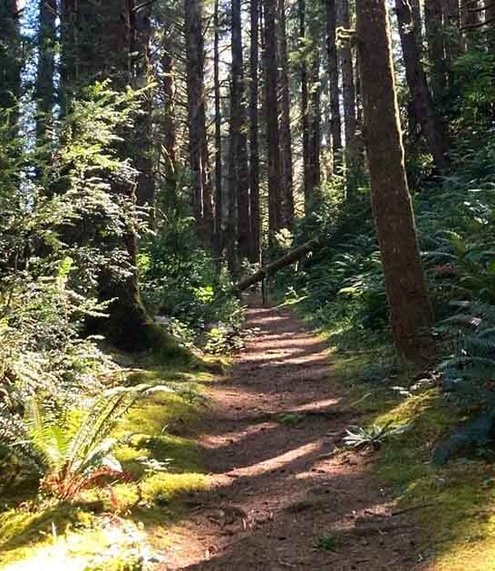 forest hike oregon tale ftr
