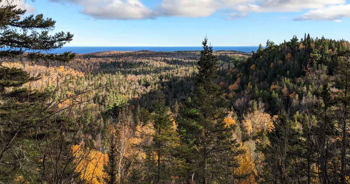 Most People Don't Know About This Stunning Old-Growth Forest In Minnesota