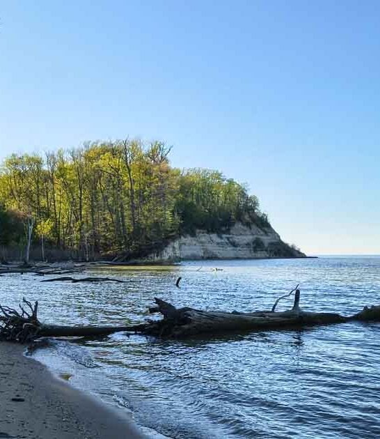 fossil beach virginia ftr