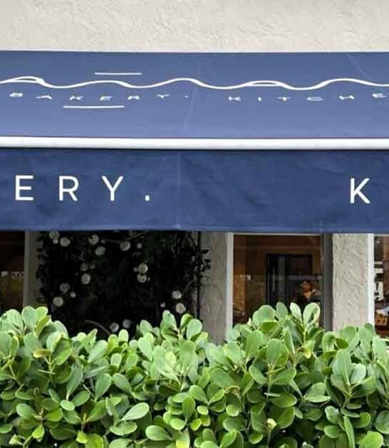 french restaurant florida surprise ftr