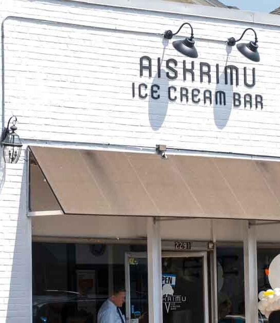 georgia amazing ice cream ftr