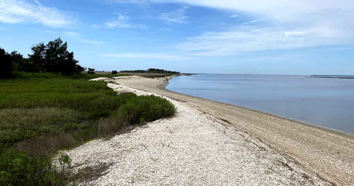 You Can Actually Find Prehistoric Fossils At This Under-The-Radar ...