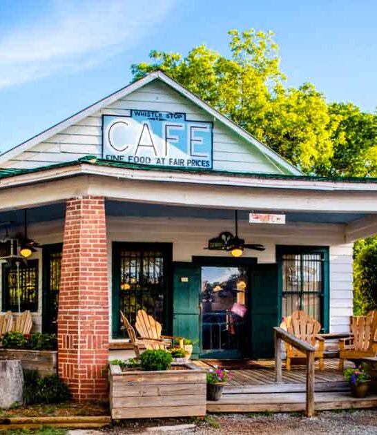 georgia classic fried tomatoes ftr