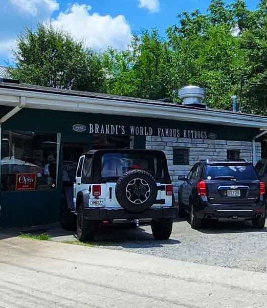 georgia famous hot dogs ftr