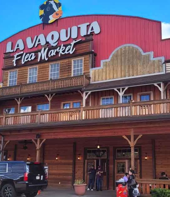 georgia flea best deals ftr