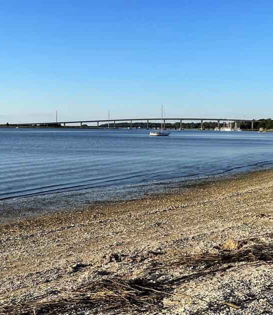 The Best-Kept Secret In Georgia Is This Gorgeous Beach Where You Can Hunt For Fossils