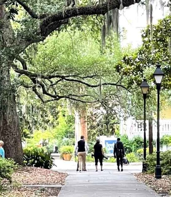 georgia state amazing places ftr