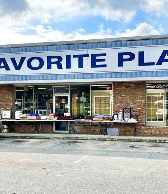 georgia wonderfully weird finds ftr