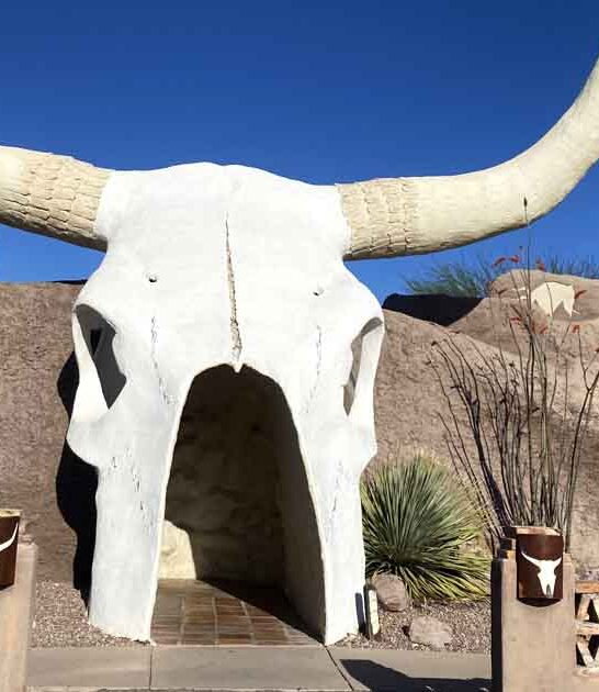 giant arizona attraction stop ftr