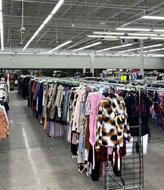 giant discount store michigan ftr