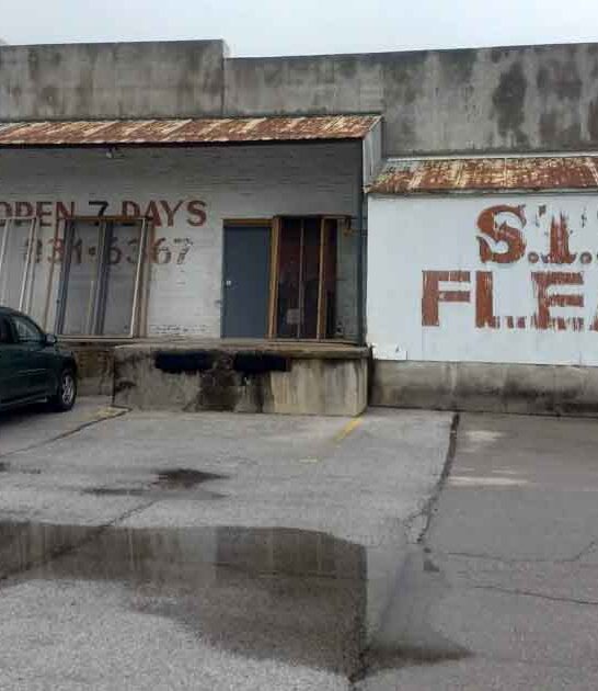 giant flea missouri bucket ftr