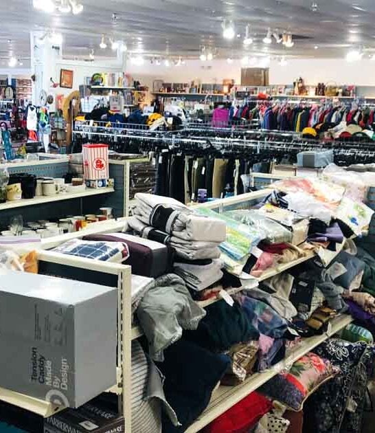 gigantic thrift wisconsin hunt ftr