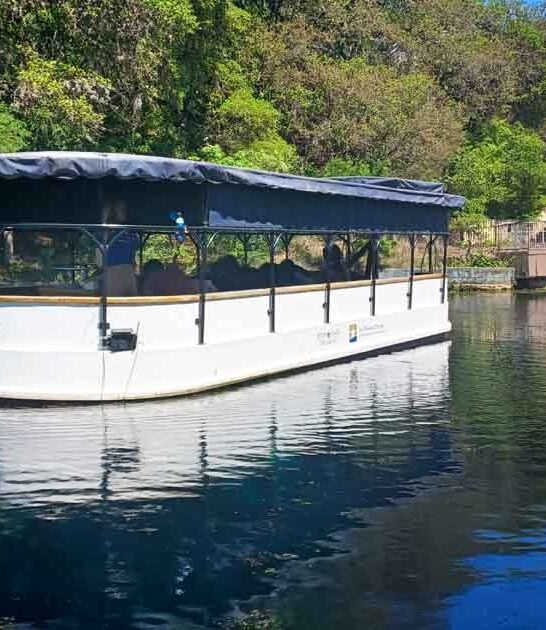 glass boat tour texas ftr